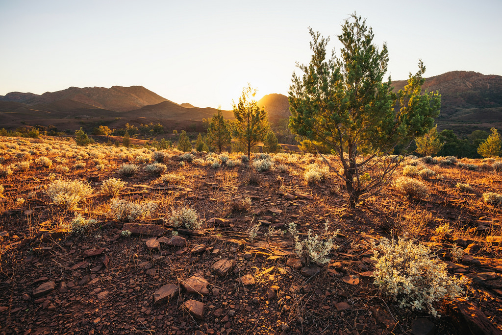 Brachina Gorge camping – The Wandering Path