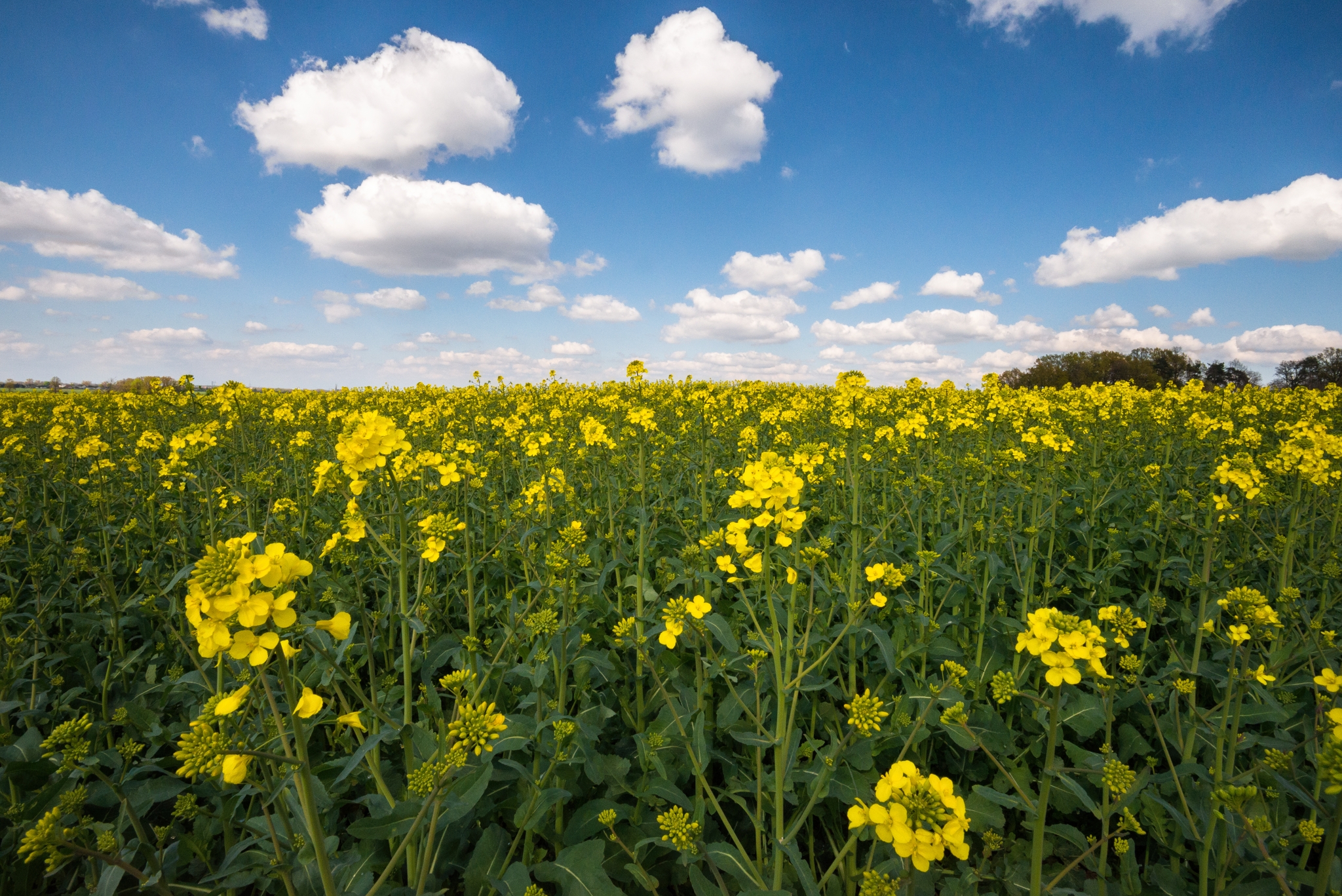 The day when winter turned to spring – The Wandering Path